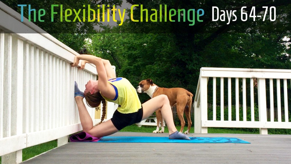 100 Day Challenge | Contortion Flexibility | Days 64-70 | Amanda Nicole ...