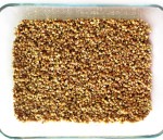 Buckwheat Crispy Treats | Sprouted & Raw Vegan | Amanda Nicole Smith