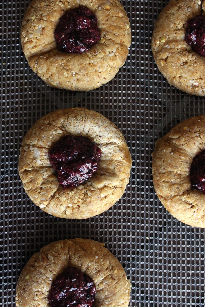 Raw Vegan Jelly Donuts | Amanda Nicole Smith